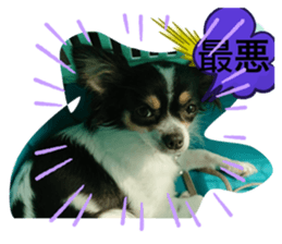 mikasyn.s_20200108074048 | Yabe-LINE貼圖代購 | 台灣No.1，最便宜高效率的代購網