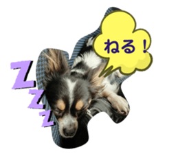 mikasyn.s_20200108074048 | Yabe-LINE貼圖代購 | 台灣No.1，最便宜高效率的代購網