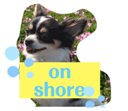 mikasyn.s_20200108074048 | Yabe-LINE貼圖代購 | 台灣No.1，最便宜高效率的代購網