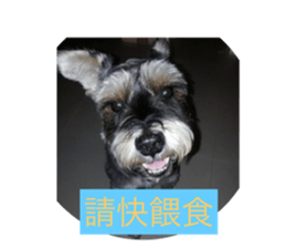 Gili. 2 | Yabe-LINE貼圖代購 | 台灣No.1，最便宜高效率的代購網