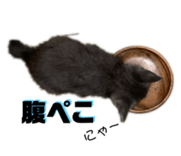masaki.hiro_20200818232544 | Yabe-LINE貼圖代購 | 台灣No.1，最便宜高效率的代購網