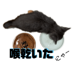 masaki.hiro_20200818232544 | Yabe-LINE貼圖代購 | 台灣No.1，最便宜高效率的代購網