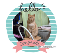 mira kin_20201030160031 | Yabe-LINE貼圖代購 | 台灣No.1，最便宜高效率的代購網