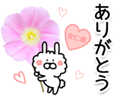 ANIYA-Name Special Sticker | Yabe-LINE貼圖代購 | 台灣No.1，最便宜高效率的代購網