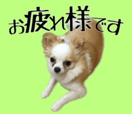 Randy stamp | Yabe-LINE貼圖代購 | 台灣No.1，最便宜高效率的代購網