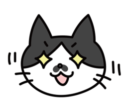 Chobihige Cat "CHOBI"(No words) | Yabe-LINE貼圖代購 | 台灣No.1，最便宜高效率的代購網