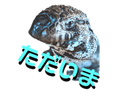 exotic_animal | Yabe-LINE貼圖代購 | 台灣No.1，最便宜高效率的代購網