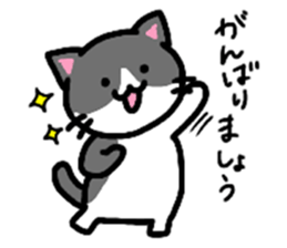Neighboring cat-Hatchan 2 | Yabe-LINE貼圖代購 | 台灣No.1，最便宜高效率的代購網