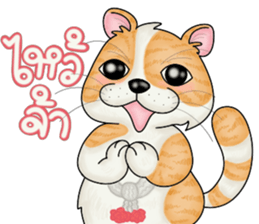 Toffy cat_New year | Yabe-LINE貼圖代購 | 台灣No.1，最便宜高效率的代購網