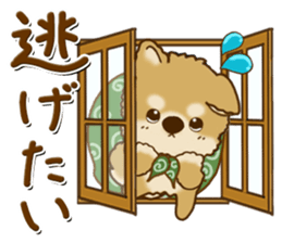 Chachamaru 12 (No motivation) | Yabe-LINE貼圖代購 | 台灣No.1，最便宜高效率的代購網