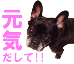 Rir-chan_Sticker | Yabe-LINE貼圖代購 | 台灣No.1，最便宜高效率的代購網