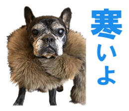 Rir-chan_Sticker | Yabe-LINE貼圖代購 | 台灣No.1，最便宜高效率的代購網