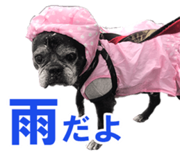 Rir-chan_Sticker | Yabe-LINE貼圖代購 | 台灣No.1，最便宜高效率的代購網