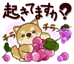 Chachamaru 20 (late summer) | Yabe-LINE貼圖代購 | 台灣No.1，最便宜高效率的代購網