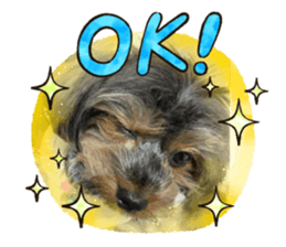 Cocoching | Yabe-LINE貼圖代購 | 台灣No.1，最便宜高效率的代購網