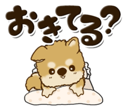 Chachamaru 22 (invitation) | Yabe-LINE貼圖代購 | 台灣No.1，最便宜高效率的代購網