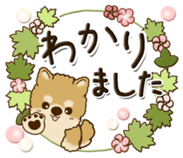 Chachamaru 23 (Words that last forever) | Yabe-LINE貼圖代購 | 台灣No.1，最便宜高效率的代購網