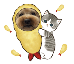 mei,minato | Yabe-LINE貼圖代購 | 台灣No.1，最便宜高效率的代購網