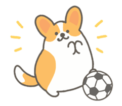 Football corgi animation sticker | Yabe-LINE貼圖代購 | 台灣No.1，最便宜高效率的代購網