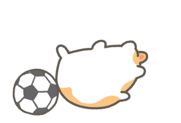 Football corgi animation sticker | Yabe-LINE貼圖代購 | 台灣No.1，最便宜高效率的代購網