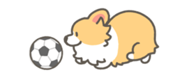 Football corgi animation sticker | Yabe-LINE貼圖代購 | 台灣No.1，最便宜高效率的代購網