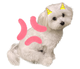 momo_Maltese | Yabe-LINE貼圖代購 | 台灣No.1，最便宜高效率的代購網