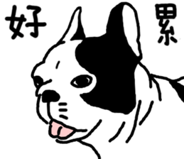 Ogi的日常2 | Yabe-LINE貼圖代購 | 台灣No.1，最便宜高效率的代購網