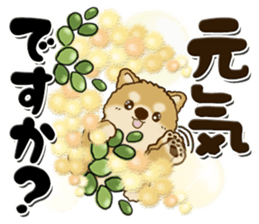 Chachamaru 29(Spring flower & Hay Fever) | Yabe-LINE貼圖代購 | 台灣No.1，最便宜高效 ...