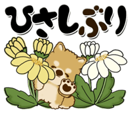 Chachamaru 29(Spring flower & Hay Fever) | Yabe-LINE貼圖代購 | 台灣No.1，最便宜高效 ...