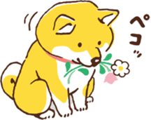 [Resale]SHIBANBAN collaboration 7 | Yabe-LINE貼圖代購 | 台灣No.1，最便宜高效率的代購網