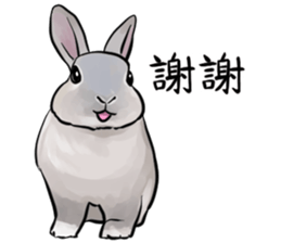 兔子宏宏的日常 | Yabe-LINE貼圖代購 | 台灣No.1，最便宜高效率的代購網