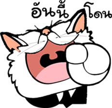 "TITO" Cat #6 (Cat in BLACK +1) | Yabe-LINE貼圖代購 | 台灣No.1，最便宜高效率的代購網