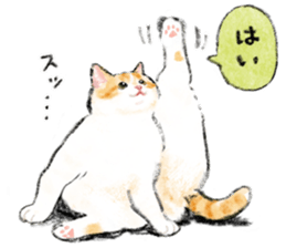 My cat ! (Red and White Tabby 2 ) | Yabe-LINE貼圖代購 | 台灣No.1，最便宜高效率的代購網