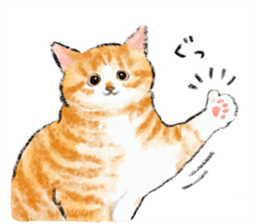 My cat ! (Red and White Tabby) | Yabe-LINE貼圖代購 | 台灣No.1，最便宜高效率的代購網