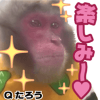 SUO Monkey Showmen Group Vol.2 | Yabe-LINE貼圖代購 | 台灣No.1，最便宜高效率的代購網