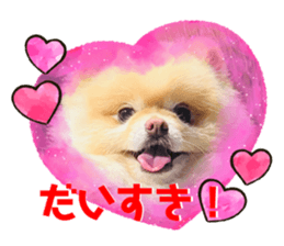 Shishimaru_01_MoCa | Yabe-LINE貼圖代購 | 台灣No.1，最便宜高效率的代購網