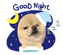 Shishimaru_01_MoCa | Yabe-LINE貼圖代購 | 台灣No.1，最便宜高效率的代購網