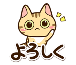 Cute little tabby cat12 | Yabe-LINE貼圖代購 | 台灣No.1，最便宜高效率的代購網