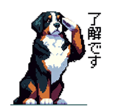 Pixel Art Bernese Mountain Dog | Yabe-LINE貼圖代購 | 台灣No.1，最便宜高效率的代購網