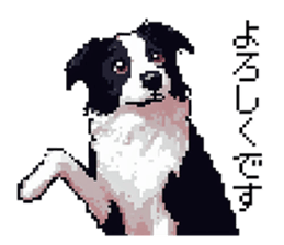 pixel art Border collie dog | Yabe-LINE貼圖代購 | 台灣No.1，最便宜高效率的代購網