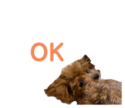 Ochoco 2 | Yabe-LINE貼圖代購 | 台灣No.1，最便宜高效率的代購網