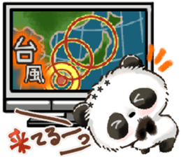 Panda Name^*^*stickers!!!seezuu006017 | Yabe-LINE貼圖代購 | 台灣No.1，最便宜高效率的代購網