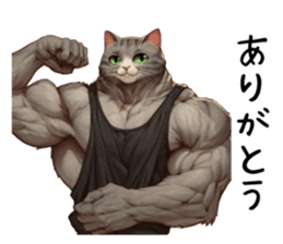 Hyper Muscle Cats | Yabe-LINE貼圖代購 | 台灣No.1，最便宜高效率的代購網