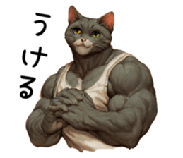 Hyper Muscle Cats | Yabe-LINE貼圖代購 | 台灣No.1，最便宜高效率的代購網