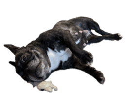 Weeeeeee!bubble! | Yabe-LINE貼圖代購 | 台灣No.1，最便宜高效率的代購網