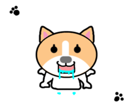 Sticky dog 3 | Yabe-LINE貼圖代購 | 台灣No.1，最便宜高效率的代購網