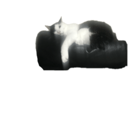 Knao | Yabe-LINE貼圖代購 | 台灣No.1，最便宜高效率的代購網