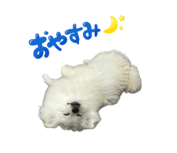 POPO_LIFE | Yabe-LINE貼圖代購 | 台灣No.1，最便宜高效率的代購網