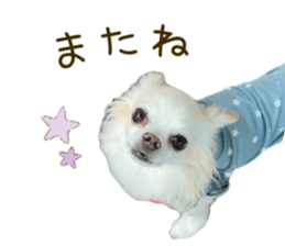 IKURAchan all season simple | Yabe-LINE貼圖代購 | 台灣No.1，最便宜高效率的代購網