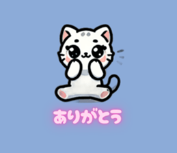Cute White Cat Line Sticker anytime use | Yabe-LINE貼圖代購 | 台灣No.1，最便宜高效率的代購網